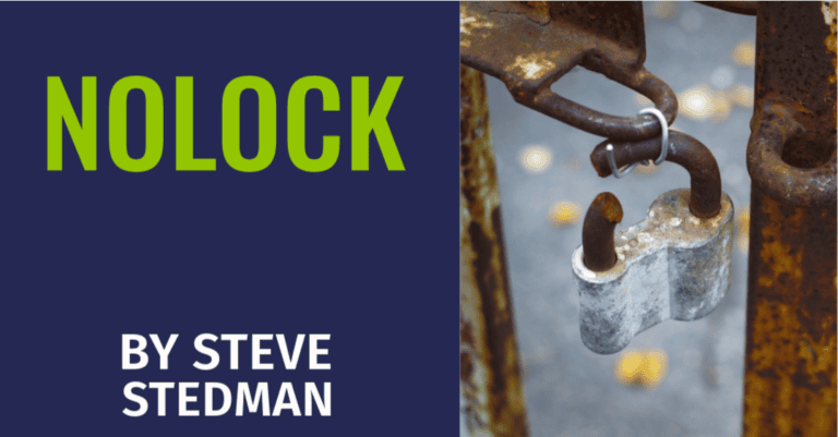 Steve Stedman - Freelance SQL Server Consultant